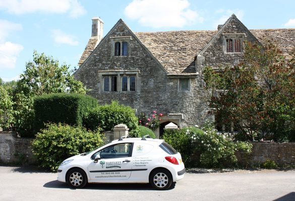 BARTLETT TREE EXPERTS - Updated November 2025 - 48 Photos - Manassas ...