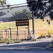 COWELL RANCH BEACH - 562 Photos & 78 Reviews - Hwy 1, Half Moon Bay ...