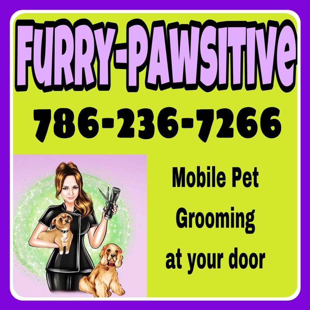 FURRY PAWSITIVE - Miami Beach, Florida - Pet Groomers - Phone Number - Yelp