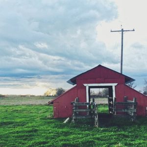 GIBSON RANCH REGIONAL PARK - 178 Photos & 97 Reviews - Parks - 8556 ...