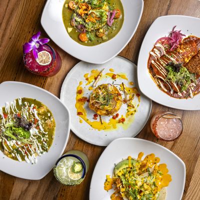 MOLE - Updated November 2024 - 253 Photos & 250 Reviews - 73-130 El ...