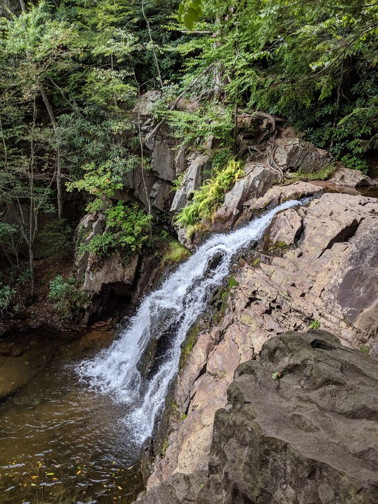 HICKORY RUN STATE PARK - 229 Photos & 68 Reviews - Parks - 3613 State ...