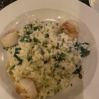 ARUGULA RISTORANTE - Updated April 2026 - 240 Photos & 258 Reviews ...