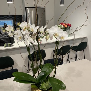 MOCKINGBIRD FLORIST - Updated December 2025 - 77 Photos & 111 Reviews ...