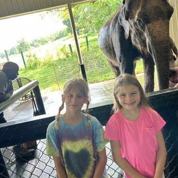 WILSTEM - Updated July 2025 - 342 Photos & 83 Reviews - 4229 W US-150 ...