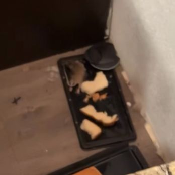 SAGA RENO - Updated January 2026 - 41 Photos & 79 Reviews - 2780 ...