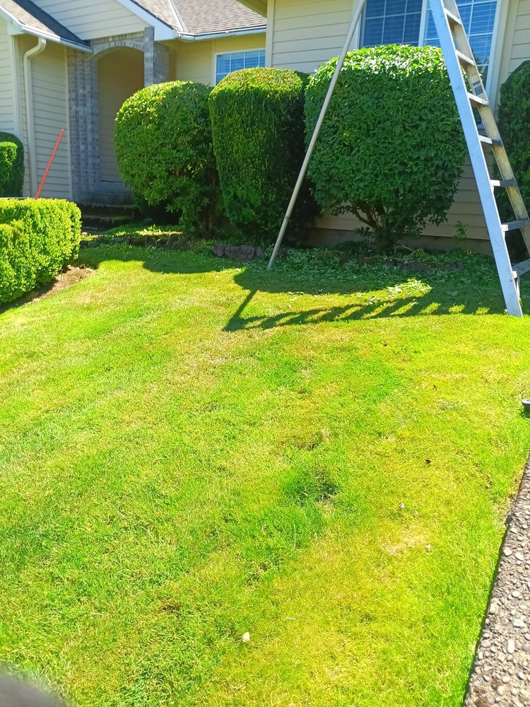 TIMBER LANDSCAPINGS - Updated June 2025 - Request a Quote - 1130 ...