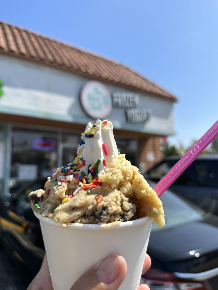 THE BIGG CHILL FROZEN YOGURT - Updated September 2025 - 543 Photos ...