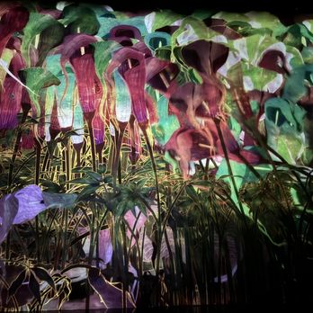 SUPERBLUE MIAMI - 690 Photos & 170 Reviews - 1101 NW 23rd St, Miami ...