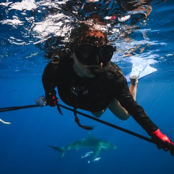 SHARK ADDICTS - Updated December 2025 - 13 Photos - 805 US-1, Jupiter ...