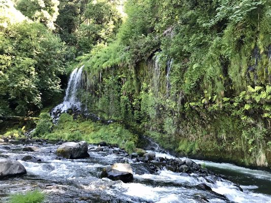 THE 10 BEST Things to Do in Macdoel, CA - 2025 - Yelp