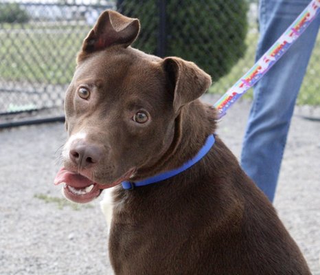 TOLEDO HUMANE SOCIETY - Updated February 2025 - 18 Photos & 10 Reviews ...