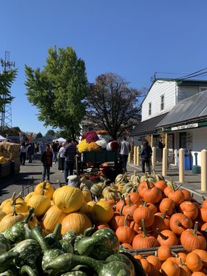 HIGHLAND ORCHARDS - Updated December 2025 - 103 Photos & 76 Reviews ...