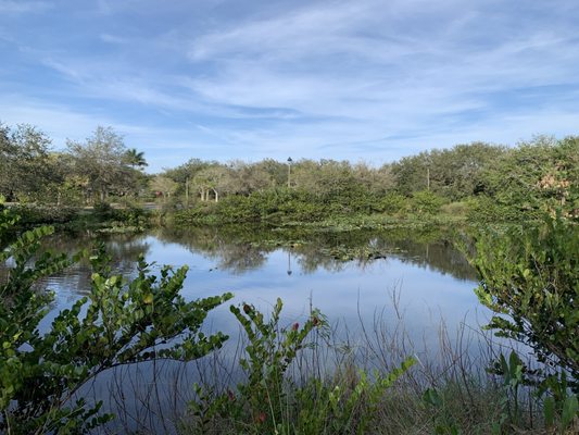 LONG KEY NATURAL AREA & NATURE CENTER - Updated December 2025 - 298 ...