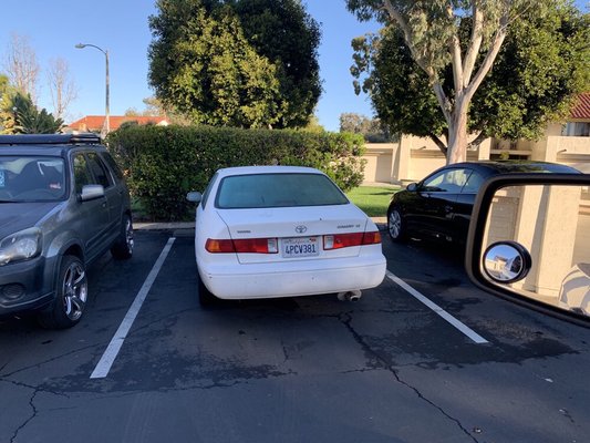 COURTESY PATROL SPECIALISTS - Updated December 2025 - 19 Photos & 64 ...