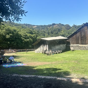 PICCHETTI WINERY - Updated April 2025 - 762 Photos & 431 Reviews ...