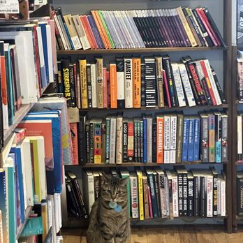 PAGES BOOKS ON KENSINGTON - Updated May 2026 - 28 Photos & 29 Reviews ...