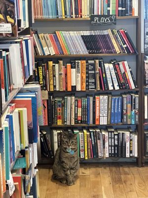 PAGES BOOKS ON KENSINGTON - Updated March 2026 - 23 Photos & 27 Reviews ...