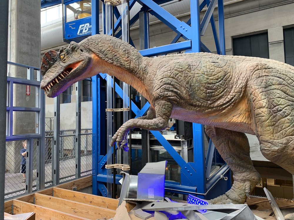 SCIENCE CITY - Kansas City, Missouri - 128 Photos & 47 Reviews ...