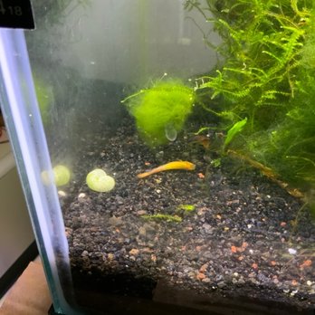 MONSTER AQUARIUM - Updated April 2025 - 68 Photos & 128 Reviews - 131 ...