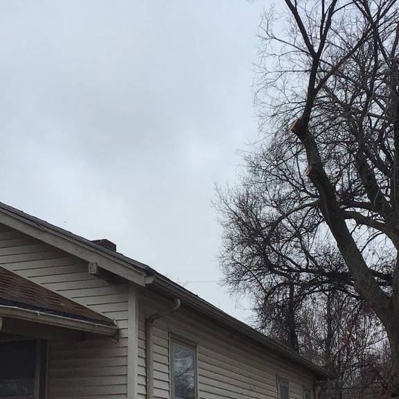 ICT TREE & LANDSCAPE - Updated May 2024 - 1446 S Mosley St, Wichita ...