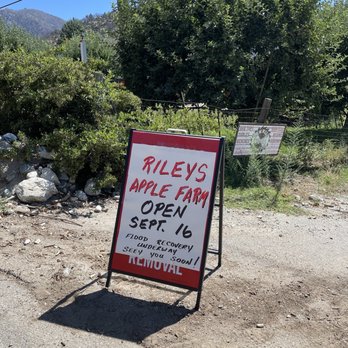 RILEY’S FARM - Updated September 2024 - 881 Photos & 412 Reviews ...