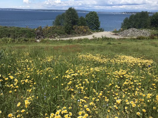 HARBORVIEW PARK - Updated May 2024 - 57 Photos & 26 Reviews - 1621 W ...
