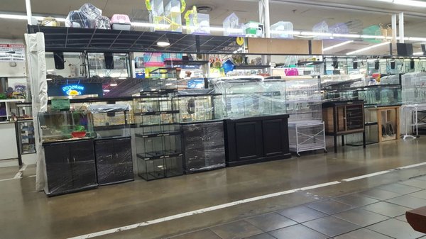 PREMIUM PET STORE - Updated May 2026 - 10 Reviews - 1600 E Holt Blvd ...
