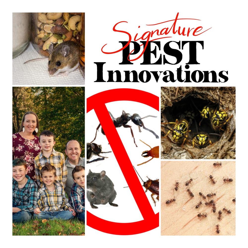 SIGNATURE PEST INNOVATIONS - Updated August 2025 - Wrightstown, New ...