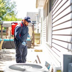 FOX PEST CONTROL - ROCHESTER - 20 Reviews - Pest Control - 333 Metro ...