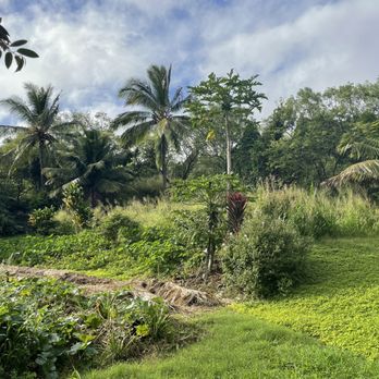 LAULIMA FARM - Updated October 2025 - 120 Photos & 58 Reviews - Sr 170 ...