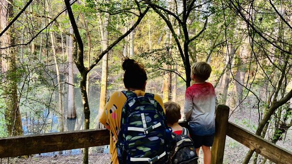 JESSE H JONES PARK & NATURE CENTER - Updated June 2026 - 180 Photos ...