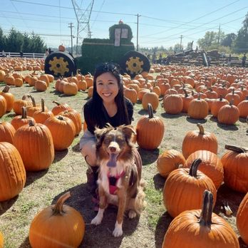 YESTERYEAR FARMS - TEMP. CLOSED - Updated June 2025 - 181 Photos & 99 ...