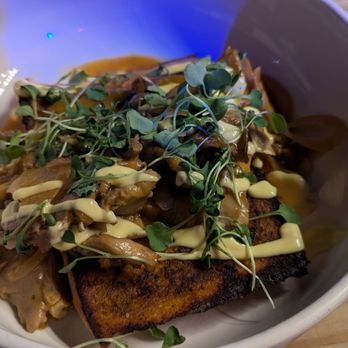 NEVER SAY DIVE - Updated December 2025 - 117 Photos & 46 Reviews - 4497 ...