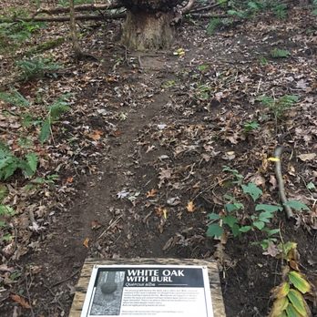 DUFF PARK - Updated December 2025 - 45 Photos & 11 Reviews - 4500 ...