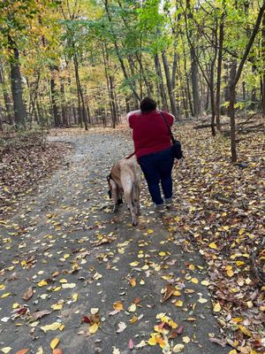 WELSH PARK - Updated July 2025 - 10 Photos - 36 Gordon Ave, East ...