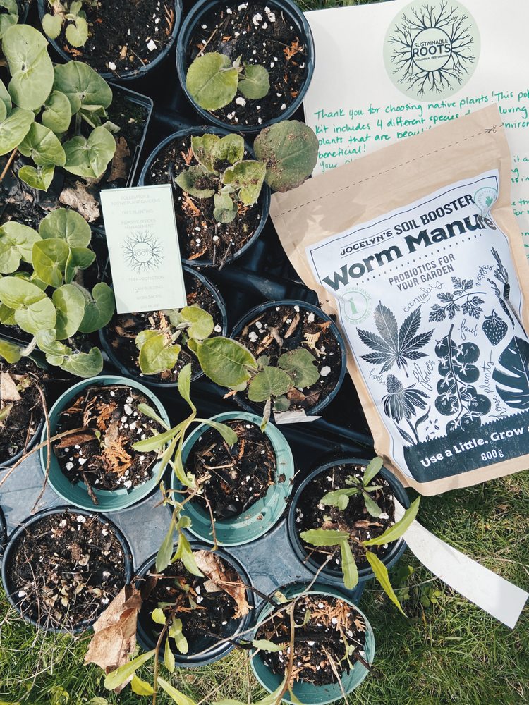 SUSTAINABLE ROOTS ECOLOGICAL RESTORATION - Updated January 2025 ...