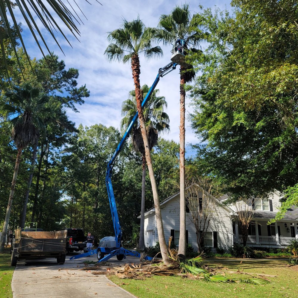 CAROLINA TREE TRIMMERS - Updated November 2025 - 32 Photos ...