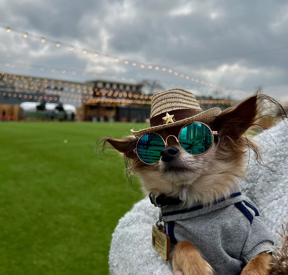 FETCH PARK - Updated August 2025 - 80 Photos & 19 Reviews - 309 ...