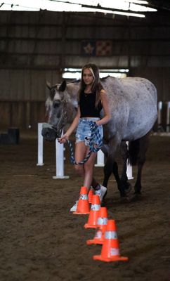 DAISY MEADOWS EQUESTRIAN - Updated December 2025 - 6095 Dickenson Rd E ...