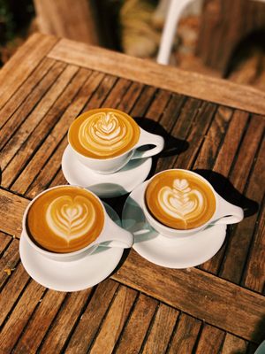 TEMPLE COFFEE ROASTERS - 1124 Photos & 958 Reviews - 2829 S St ...