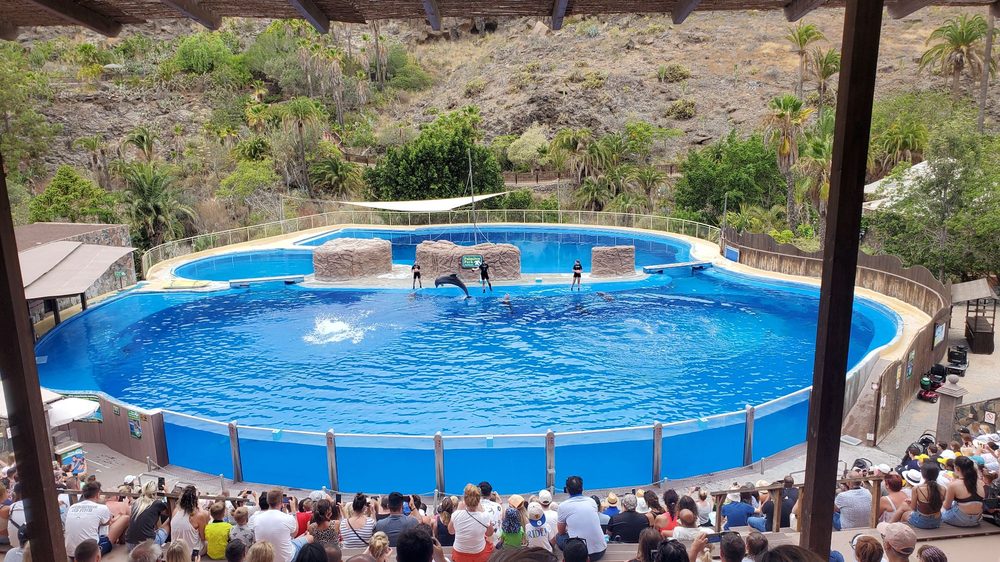 PALMITOS PARK - Updated April 2025 - 64 Photos & 23 Reviews - Barranco ...