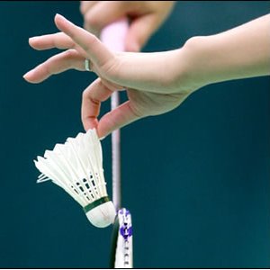 SEATTLE BADMINTON CLUB - Updated December 2025 - 17 Reviews - 10858 ...