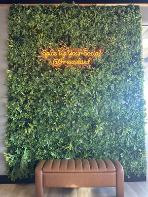 FREEZELAND - Updated January 2026 - 12 Photos - 1245 N Roselle Rd ...