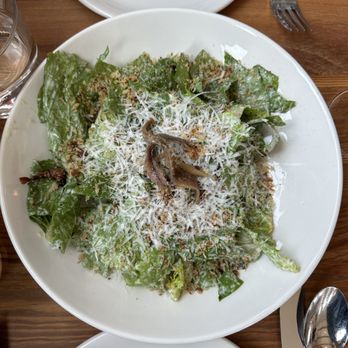 BAR TOTI - Updated April 2025 - 156 Photos & 47 Reviews - 2113 Manor Rd ...