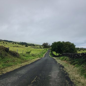 THOMPSON ROAD - Updated October 2025 - 75 Photos - Thompson Rd, Kula ...