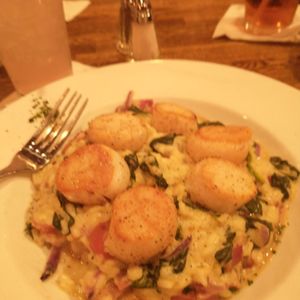 THE HERRINGBONE ON THE WATERFRONT - Updated February 2025 - 81 Photos ...