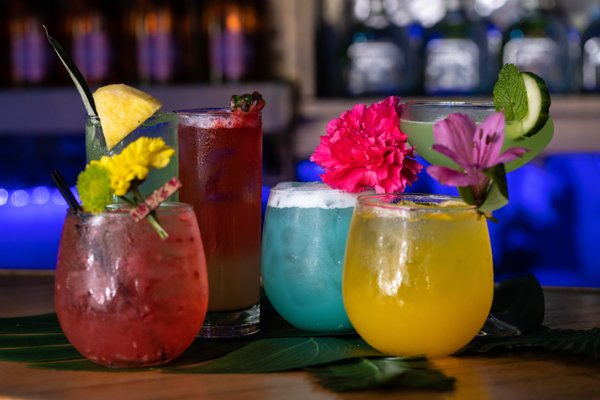 OCTOPUS KITCHEN - 340 Photos & 188 Reviews - 1551 Piedmont Ave NE ...