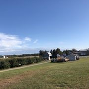 WINDY HILL ORCHARD - 46 Photos & 12 Reviews - 1297 Brookview Station Rd ...