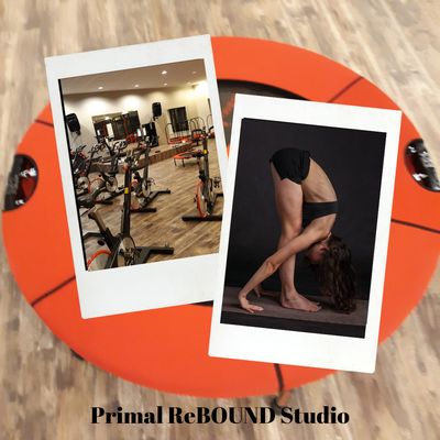 PRIMAL REBOUND STUDIO - 10 Photos - 5660 Clinton St, Elma, NY - Yelp